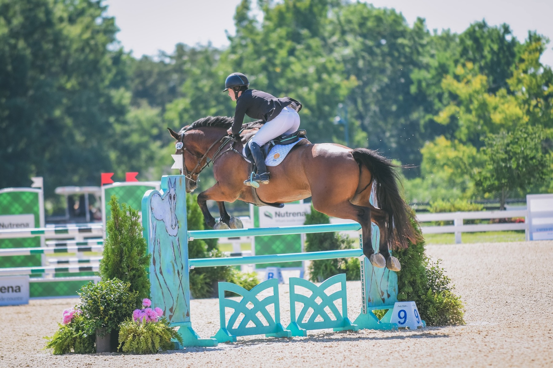 About Chelsea Kolman